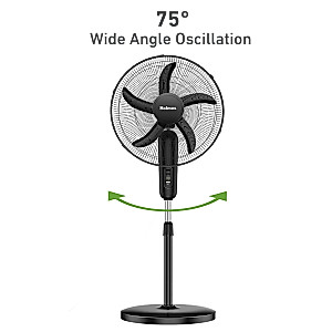 HOLMES 18" Stand Fan, 75° Oscillation, 3 Speeds, 5 Blades, Adjustable Height, 25° Head Tilt, Ideal for Home, Bedroom or Office, Black