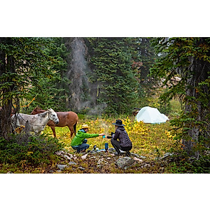 Big Agnes Tiger Wall Platinum Crazylight Backpacking Tent, 2 Person