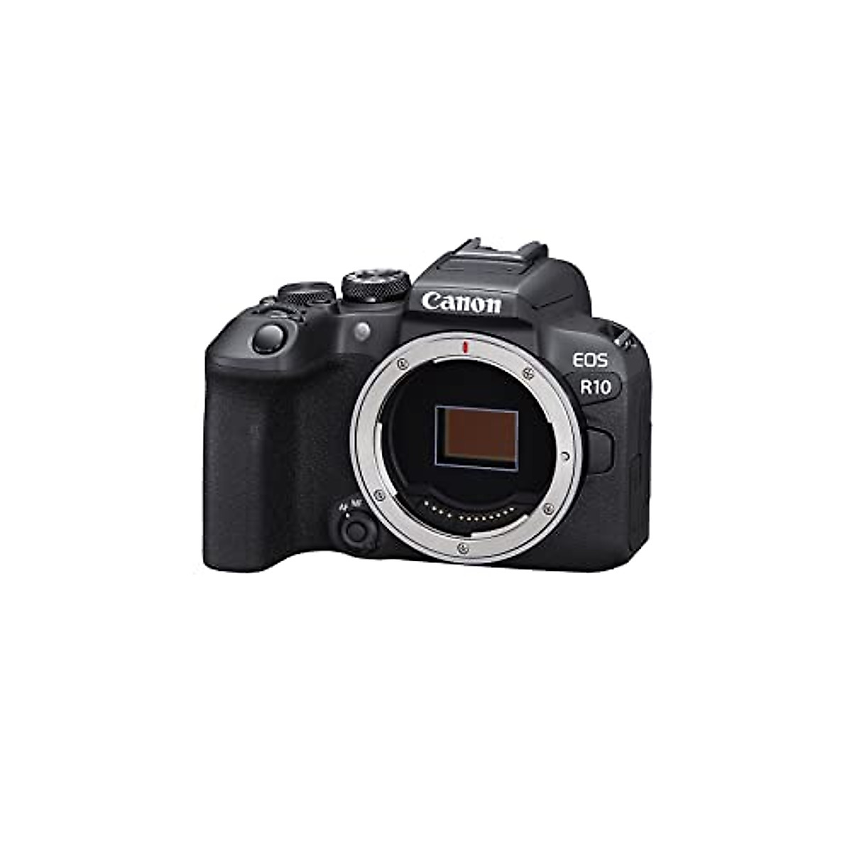 Canon EOS R10 Body Mirrorless Camera (Renewed)