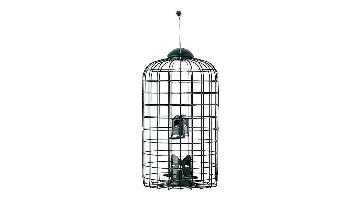 More Birds Squirrel-X Bird Feeder with 4 Ports & 1.5 lb Capacity