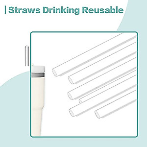 Replacement Straws for Stanley Adventure Travel Tumbler - 6 PCS Straws Replacement for Stanley Cup 40 OZ, Straws Replacement with Cup Cleaner for Stanley Quencher Adventure 30/40 OZ Stanley Water Jug