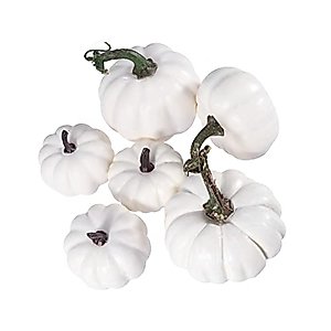 Garneck 6pcs Home Decor Pumpkin Household Props