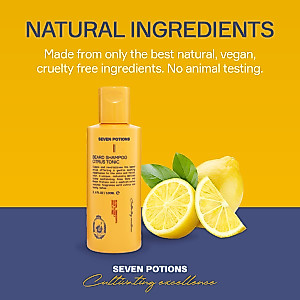 SEVEN POTIONS Beard Shampoo for Men - Gentle Cleansing Wash for a Fresh, Itch-Free Beard - Natural, Vegan Formula (Citrus Tonic, 3.4 Fl Oz)