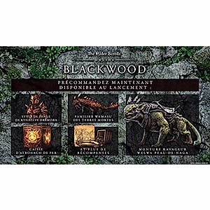 The Elder Scrolls Online Collection: Blackwood (PS4)