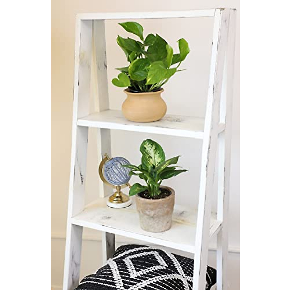 Essential Houseplant Collection (3PK) Live Plants Indoor Plants Live Houseplants in Plant Pots, Easy House Plants Indoors Live, Snake Plant, Pothos in Potting Soil, Clean Air Plants by Altman Plants