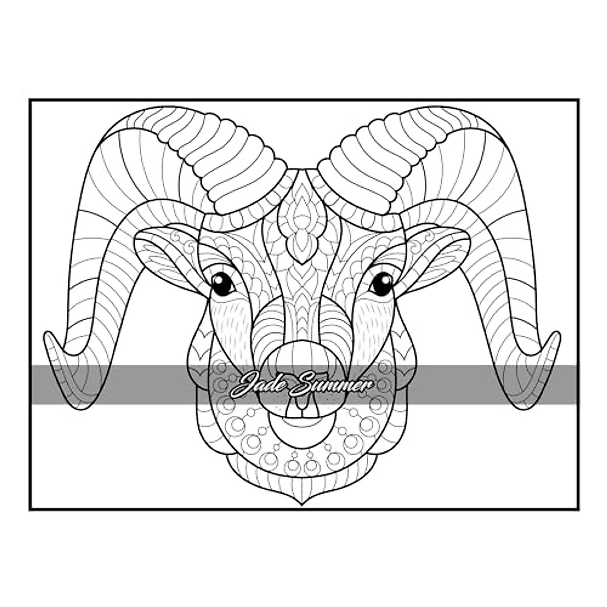 100 Animals: An Adult Coloring Book with Lions, Elephants, Owls, Horses, Dogs, Cats, and Many More!