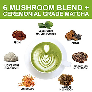 Mushroom Matcha Powder, Unsweetened, Mixed with Six Mushroom Extracts and Ceremonial Grade Matcha Green Tea, 24 Servings