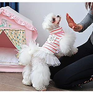 MSNFOASM Pet Dog Pink Stripe Dog Dress,Dog Tutu Lace Skirt Wedding Dress for Small Girl Dogs Cats（Pink Stripe M）