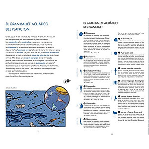 Los mundos invisibles de los animales microscópicos (El libro Océano de…) (Spanish Edition)