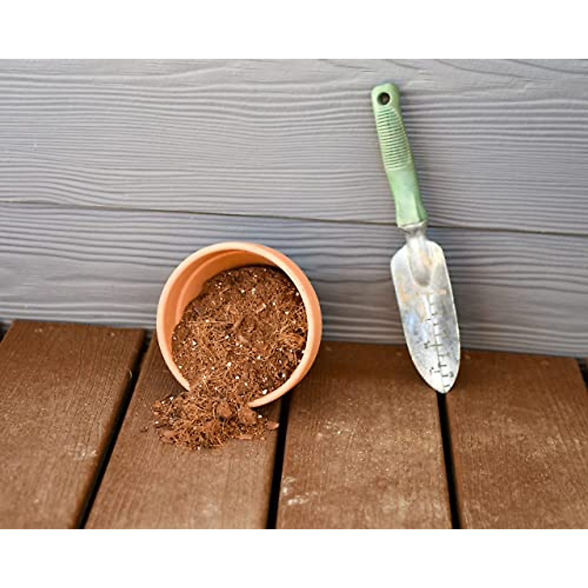 Tropical House Plant Potting Mix (4 Quarts); for All Types of Indoor House Plants