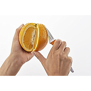 Crisp Bird's Beak Paring Knife