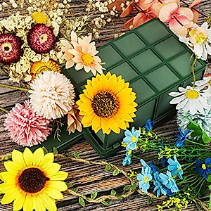 Hahood 2 Pieces Floral Foam Cage with Floral Foam Flower Arrangement Foam Cage with Handle Rectangle Flower Foam Cage Holder for Fresh Flowers, Home Party Decoration, 11.8 x 4.9 x 3.1 Inches