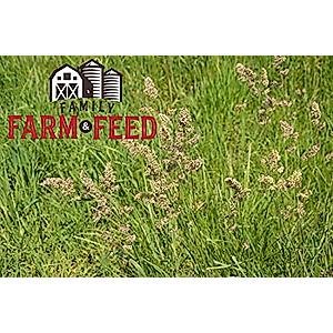 FAMILY FARM AND FEED | Alfalfa Hay Food | Small Pet | Young and Adult | Cubes | 4 Pounds