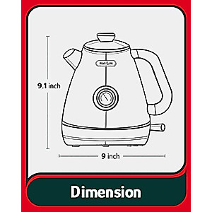Hazel Quinn X Eduardo Recife Collaboration Electric Kettle with Thermometer - 1.7 Litres / 57.5 Ounces Retro Tea Kettle, All Stainless Steel, Fast Boiling 1200W, Cordless, BPA-free, Automatic Shut-Off