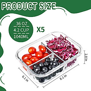 Skroam 5-Packs 36OZ Glass Airtight Food Storage Containers 3 Compartments, Glass Meal Prep Container Set with Lids for Pantry Kitchen Organizers and Storage, BPA Free Glass Lunch Boxes Bento