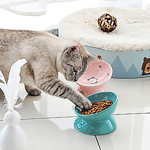 SWEEJAR Ceramic Raised Cat Bowls, Slanted Cat Dish Food or Water Bowls, Elevated Porcelain Pet Feeder Bowl Protect Cat's Spine, Stress Free, Backflow Prevention (Turquoise)