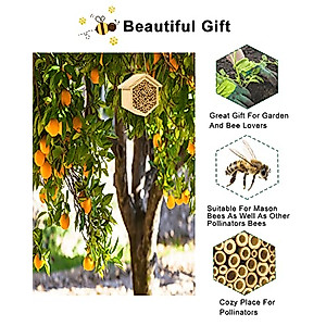 Mason Bee House - Handmade Wooden Bee Hotel Natural Bamboo Bee Habitat Hive Bee Box for Carpenter Bee, Garden Gifts, Pollinating Bees, Leaf Cutter Bee