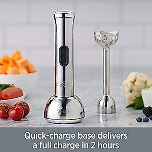 All-Clad Cordless Rechargeable Stainless Steel Immersion Multi-Functional Hand Blender, 5-Speed, Silver