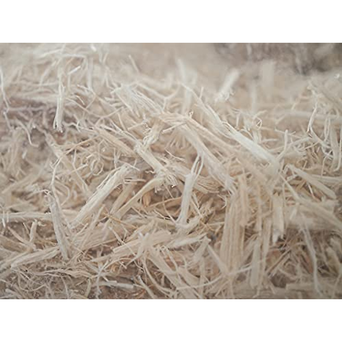 Josh's Frogs Awesome Aspen (10 quarts)