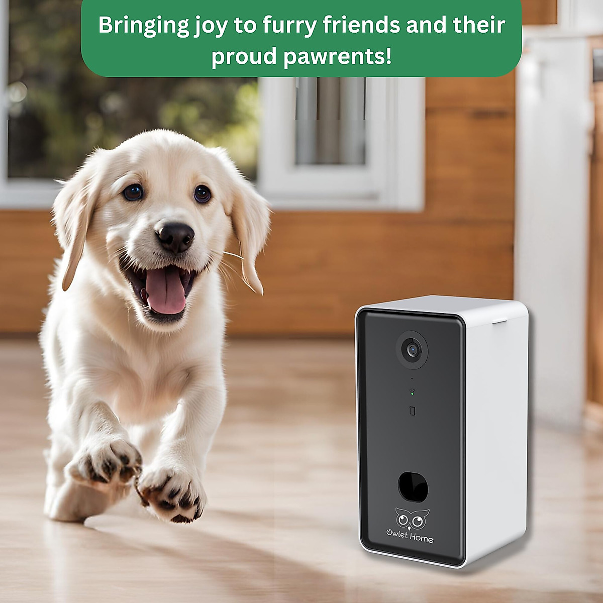 Owlet Home Pet Camera with Treat Dispenser Tossing for Dogs/Cats, 2.4Ghz & 5Ghz WiFi, 1080P Camera, Live Video, Auto Night Vision, 2-Way Audio, Compatible with Alexa, pre-Recorded Voice Message