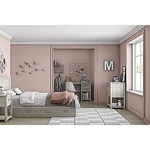 Little Seeds Sierra Ridge Levi Single Pedestal Kids, Walnut Desk