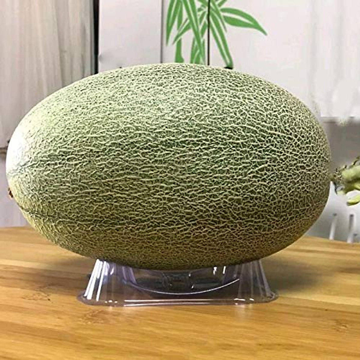 kemengsuer 100 Pieces Plastic Melon Cradle, Fruit & Vegetable Cradle Stands, Holds up to 20 lbs, Clear Plastic Melon Support Cradle for Keep Watermelon Off of The Ground(13.5 x 10.5cm/5.11 x 4.13inch)