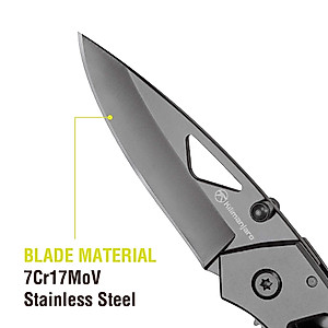 Kilimanjaro Vertice 8-Inch Everyday Folding Knife, Silver