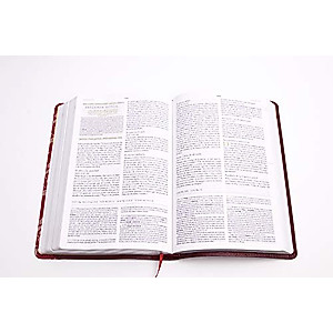 Biblia Reina Valera 1960 de Estudio para mujeres vino tinto-fucsia, símil piel | RVR 1960 Women Study Bible, Burgundy-Fuschia LeatherTouch (Spanish Edition)