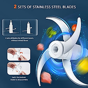 Bear Food Processor, Electric Food Chopper with 2 Glass Bowls (8 Cup+2.5 Cup), 400W Power Grinder with 2 Sets Stainless Steel Blades, 2 Speed for Meat, Vegetables, and Baby Food