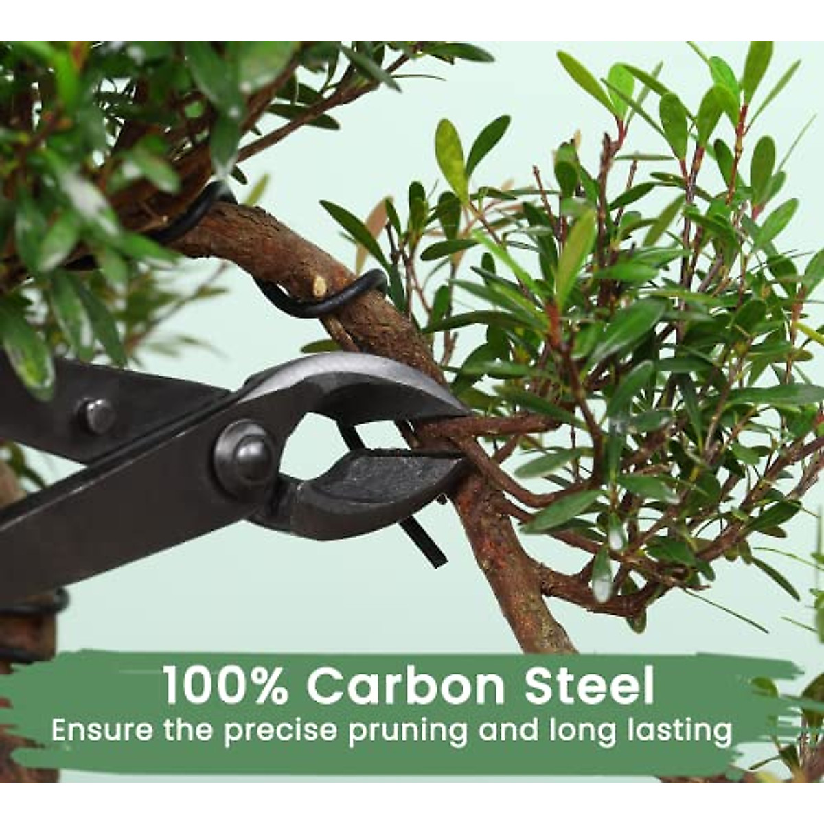 Bonsai Tools Set with Wood Box 12PCS Heavy Duty Bonsai Tree Kit, Trimming Scissor Shears, Concave Cutter, Wire Rolls, Wire Cutter and More, Gardening Bonsai Pruning & Care Kit