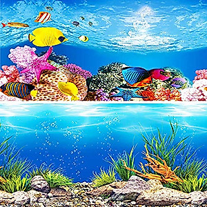 Amalong New seafloor, Marine Fish Background Aquarium Background Decoration 25 x 15 (inches)