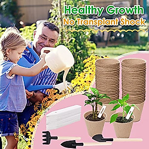 NuCandle 3” Peat Pots Seedling Pots Plant Starters Bulk 100 Pack Seed Starter Pots Biodegradable Plant Cups with Labels, Mini Seedling Tools for Garden Germination Nursery Pot