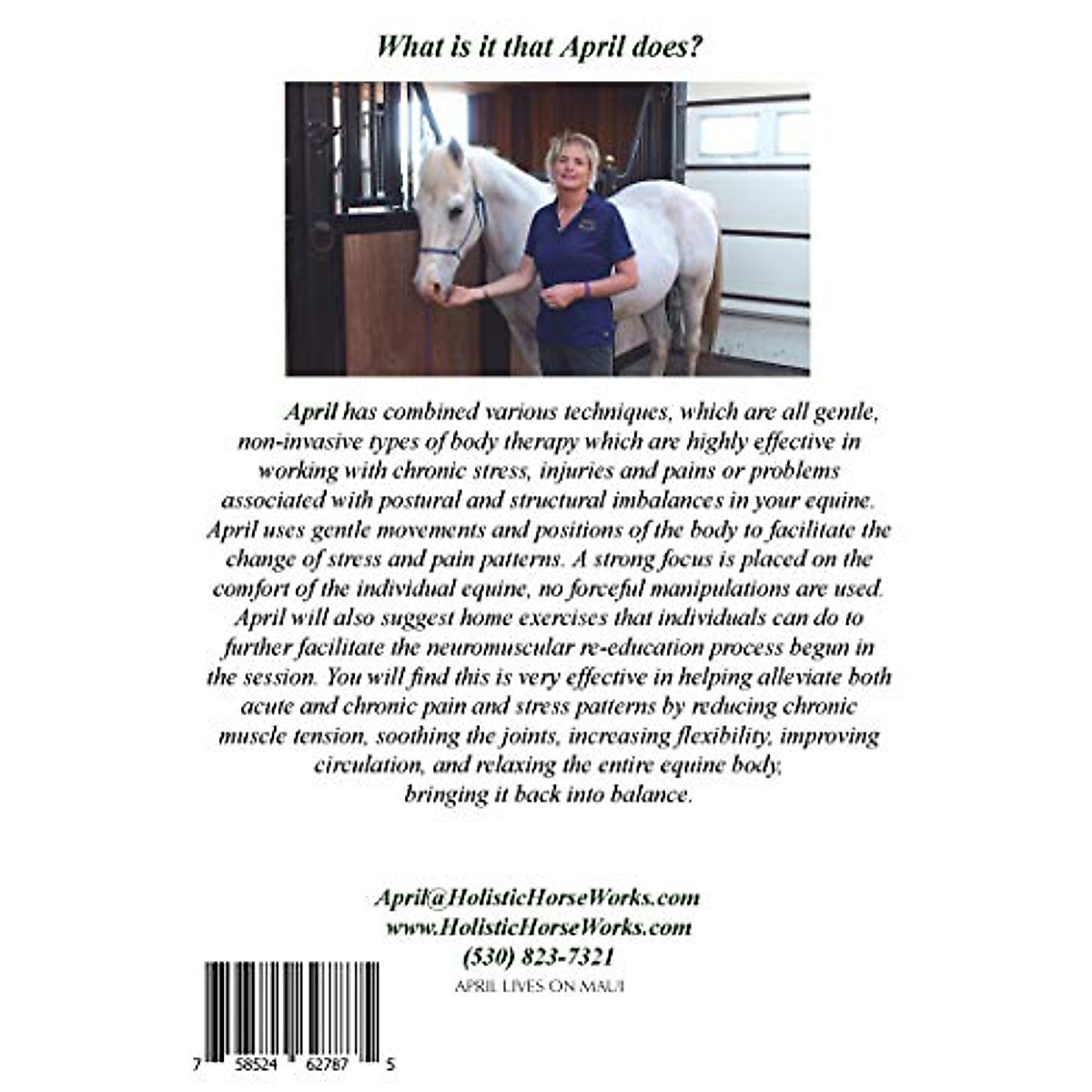 Holistic Horseworks “Level 1: Equine Musculoskeletal Unwinding” DVD Course - Certified Horse Massage Therapy Technique - Earn a Certificate of Completion - For Novice and Pro Horse Lovers