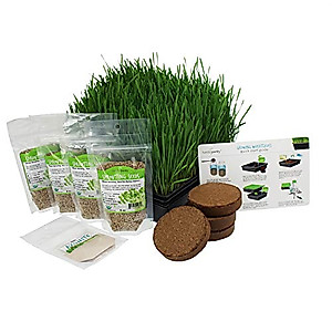 Organic Wheatgrass Growing Starter Kit - Grow & Juice Wheat Grass - Includes Non-GMO, Organic Wheatgrass Seeds - for Healthy Wheatgrass Shots, Home, Garden, and Cat Grass