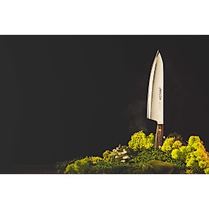 ARCOS Chef Knife 8 Inch Stainless Steel. Professional Kitchen Knife for Cooking. Ovengkol Wood Handle 100% natural FSC and 210 mm Blade. Series Nordika. Color Brown.