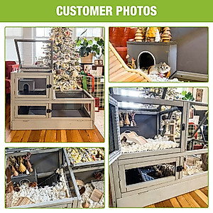 Hamster Cage 2 Story Guinea Pig Cage Large Rat House Indoor Rabbit Cage Outdoor Bunny Hutch with Leakproof PVC Floor and Anti-Chewing Edge