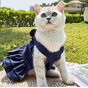 ANIAC Denim Dog Dresses for Small Dogs Puppy Girl Clothes with Leash Ring and Cute Bow Knot Summer Cat Apparel with D-Ring Blue Girl Dog Clothes (Skirt, X-Large)
