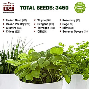 12 Heirloom Culinary and Medicinal Herb Seeds for Planting - Non GMO, and USA Grown - Variety Pack for Indoor, Outdoor and Hydroponic Garden - Сhives, Cilantro, Dill, Italian Parsley, Basil, and More