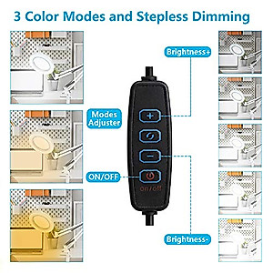 5X Magnifying Glass with Light and Stand, KIRKAS 2-in-1 Real Glass Lens Magnifying Desk Lamp with Clamp, 3 Color Modes, Stepless Dimmable Magnifier Light for Close Work Repair Reading Crafts- White