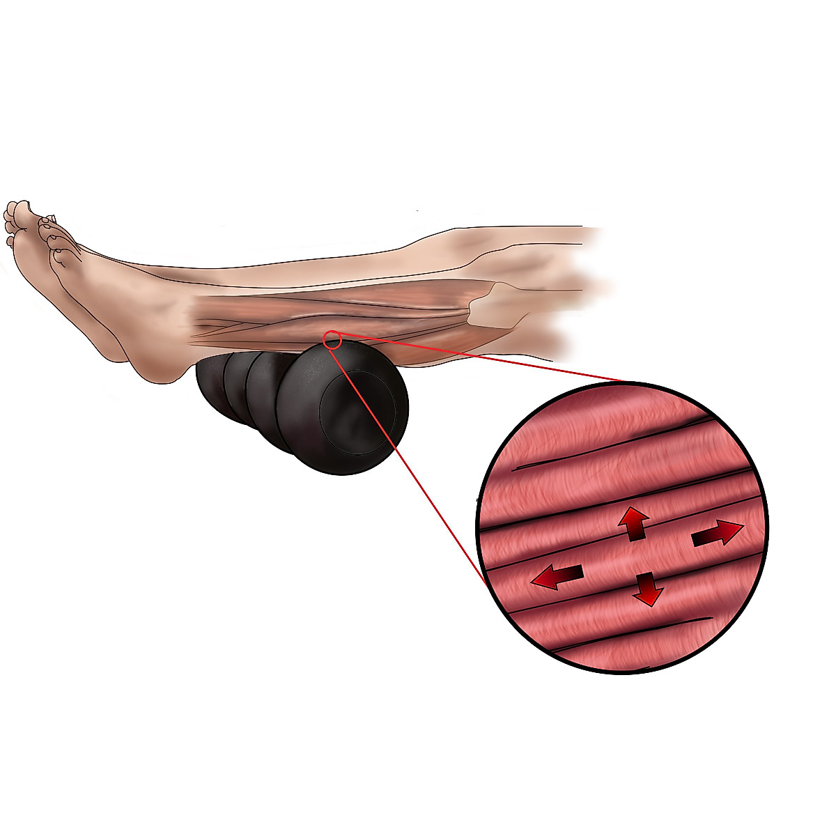 Rollga STANDARD - The BETTER Foam Roller for Flexibility, Muscle Recovery, Back & Neck Massage, & Exercise (Silver)