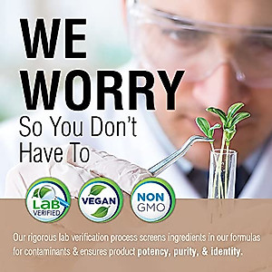 SOLARAY Fermented Cordyceps Mushroom 500 mg | Healthy Heart Function, Energy & Stamina Support | 60 VegCaps, 30 Servings