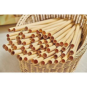 EcoAmiga Bamboo Straw, 8 Inch Reusable & Biodegradable Organic Bulk Straws – Great Ecological Alternative to Plastic Straws (Reed)