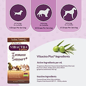 Amber NaturalZ - Vibactra Plus Immune Support Plus - an antioxidant enriched formula helps fight free radicals, supports healthy yeast balance, maintains healthy gut flora, supports upper respiratory health and oral health - 1 Oz