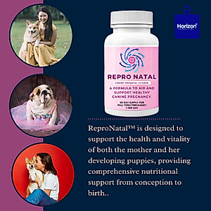 Horizon Animal Care Canine Prenatal Multi-Vitamin Capsules - 60-Day Supply to Aid Full-Term Pregnancies and Promote Optimal Health for Expecting Dogs - ReproNatal™ Dog Supplement