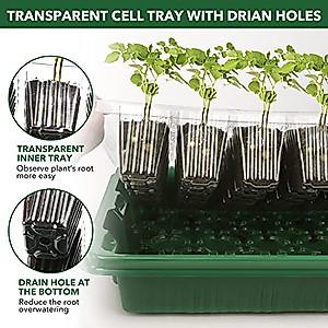 YAUNGEL Seed Starting Trays, XL Thicken Seed Starter Tray Kit with Humidity Dome Durable Growing Trays for Greenhouse & Gardens, 4 Pack 160 Cells, Green