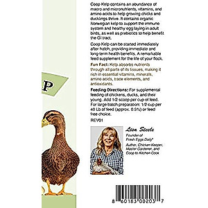 Fresh Eggs Daily Coop Kelp Organic Feed Supplement Vitamins for Backyard Chickens and Ducks 7LB