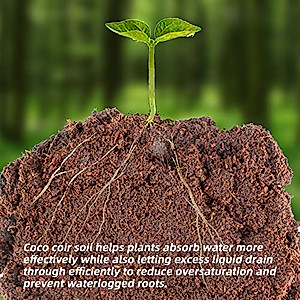 Anothera 13.8 Gallons Coco Coir Brick for Plants- 6 Pack Premium 100% Organic Peat Moss Mix with Low EC & pH Balance, Fiber Coconut Husk for Planting, Gardening, Potting Soil Substrate(8.4 Pounds)