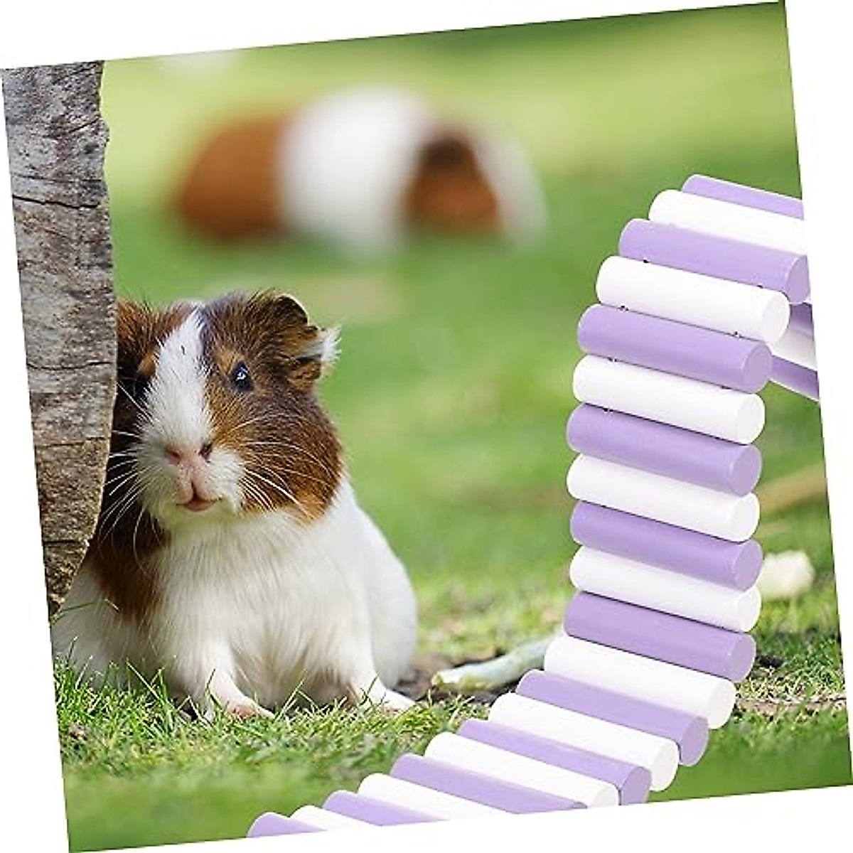 FUOYLOO Hamster Climbing Ladder Pet Toys Chew Toys Chinchilla Chew Toys Wood Rat Ladder Small Animal Climbing Toys Ladder Bridge Hanging Hamster Swing Hamster Accessory Blue Parrot