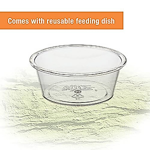 Zilla Vertical Décor Mushroom Feeding Ledge One Size,Brown