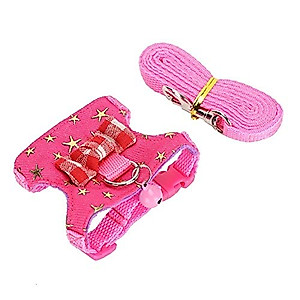 with Soft Texture Outdoor Chest Strap Ferret Leash Pet Harness Ferret Pet Supplies(S Number)